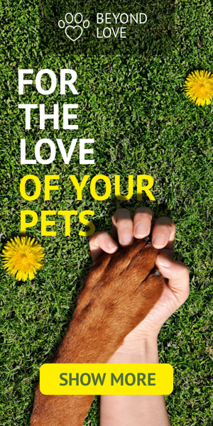 Pets Banner Ad Templates