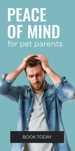 Pets Banner Ad Templates