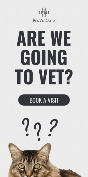 Modern Templates for Advertising – Create Ad in minutes